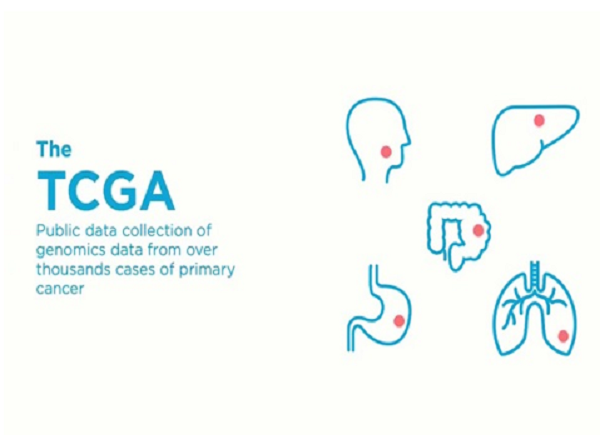 Quick Workflow To Analyze Tcga Data Qlucore